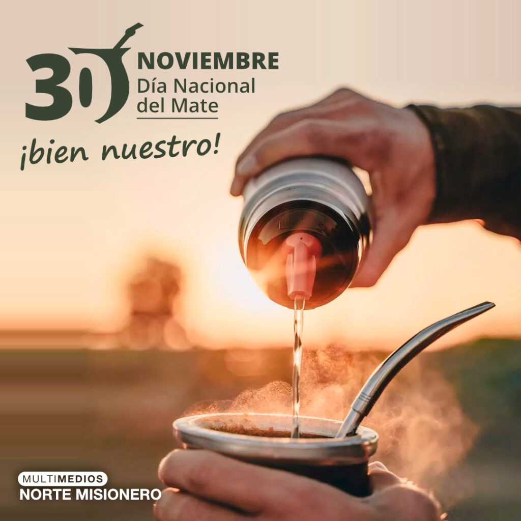 Día Nacional del Mate: cada argentino consume en promedio seis kilos de ...