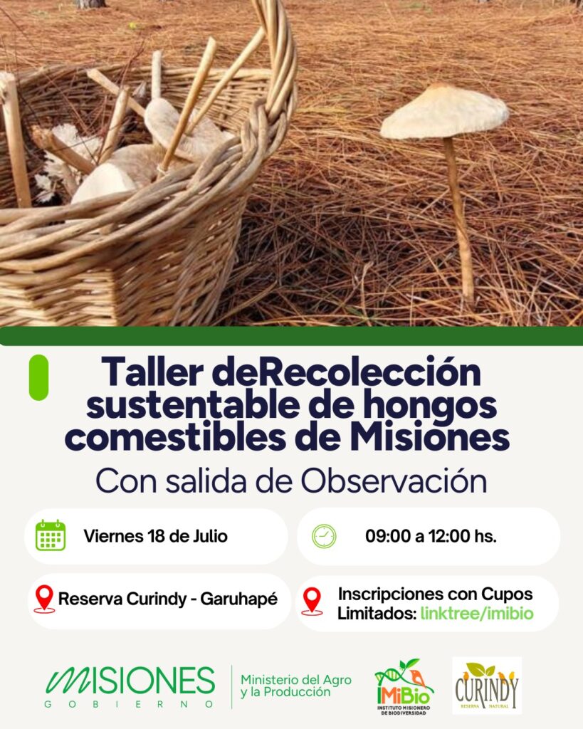Taller de Recolección Sustentable de Hongos Comestibles en Misiones - Norte Misionero