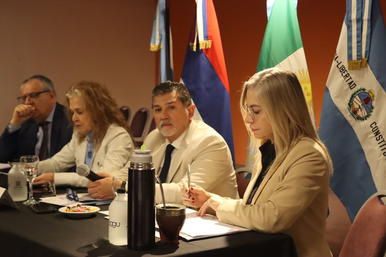 Misiones presidirá el Comité Ejecutivo Región NEA de la Junta Federal ...