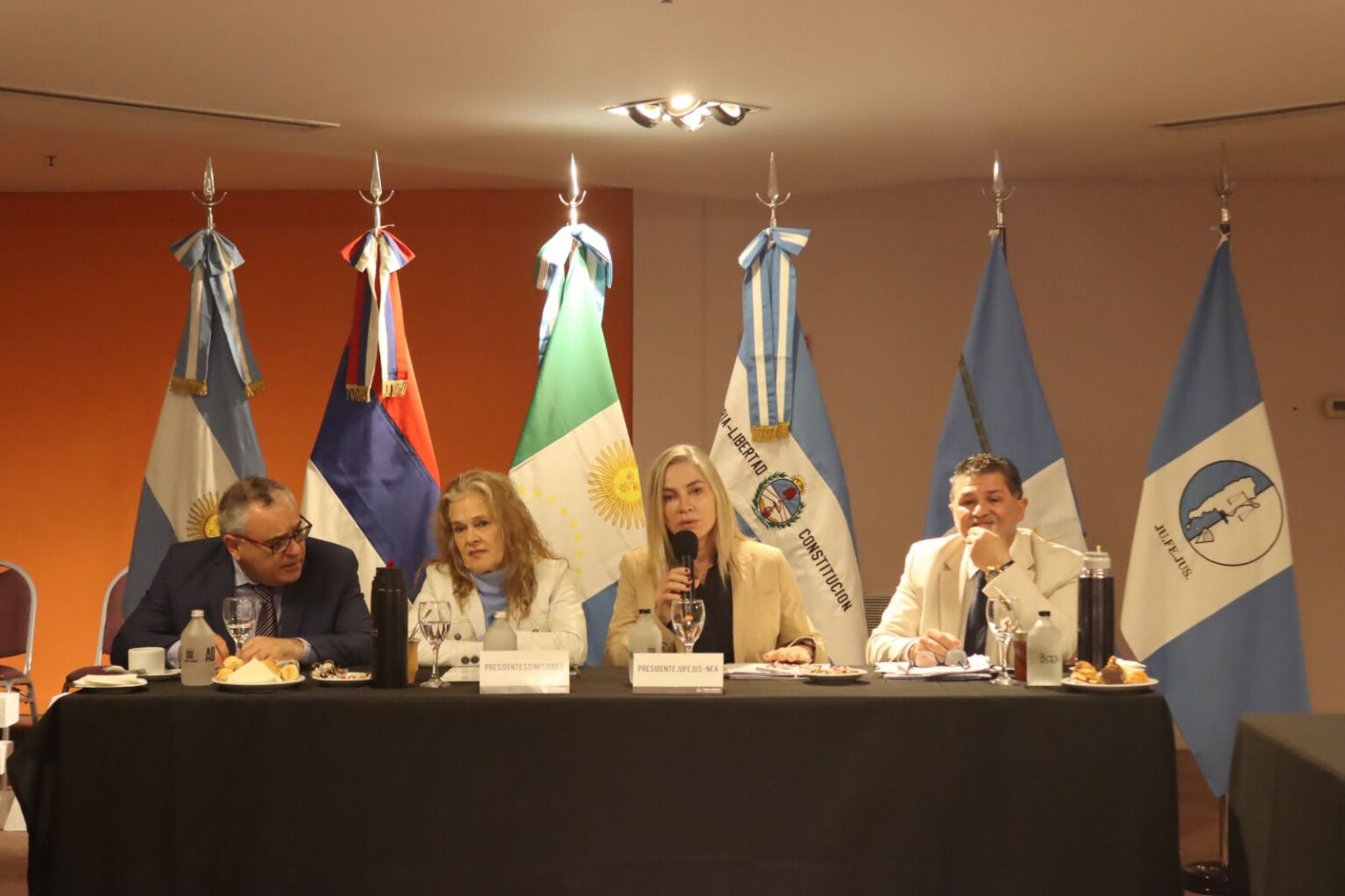 Misiones presidirá el Comité Ejecutivo Región NEA de la Junta Federal ...