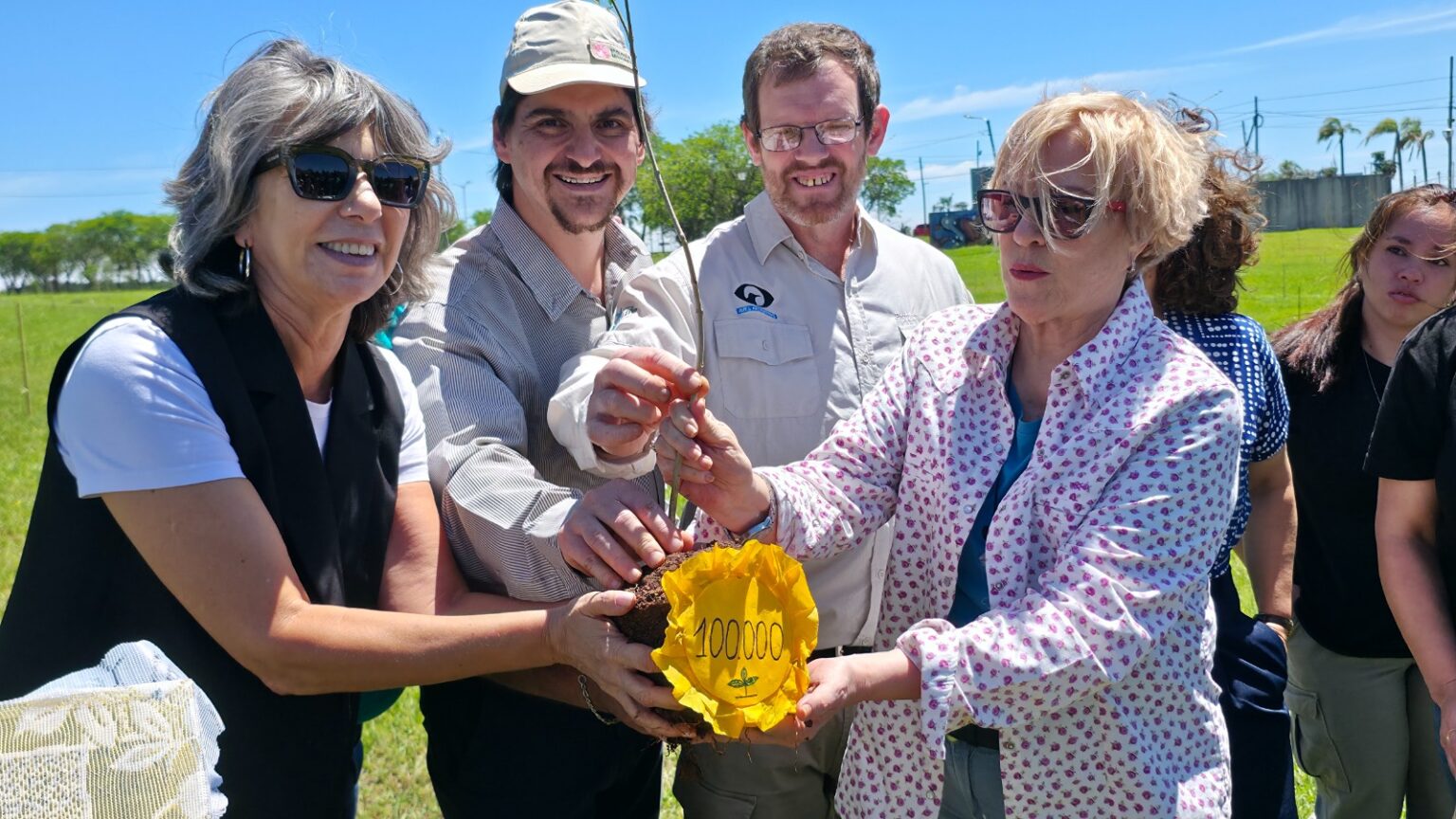 Récord verde: Misiones plantó 100 000 nuevos árboles nativos este año ...